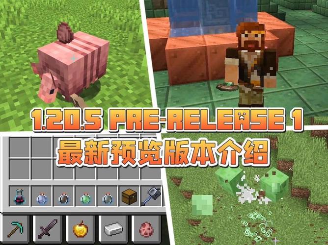 我的世界1.21.5正式版