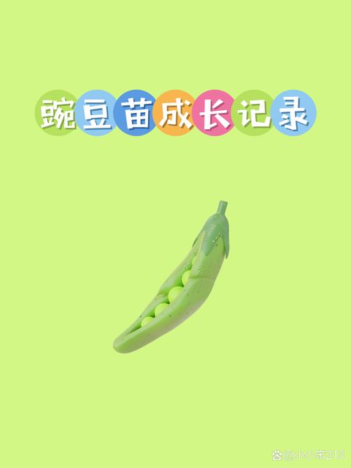 豌豆视频成长人免费安装图标