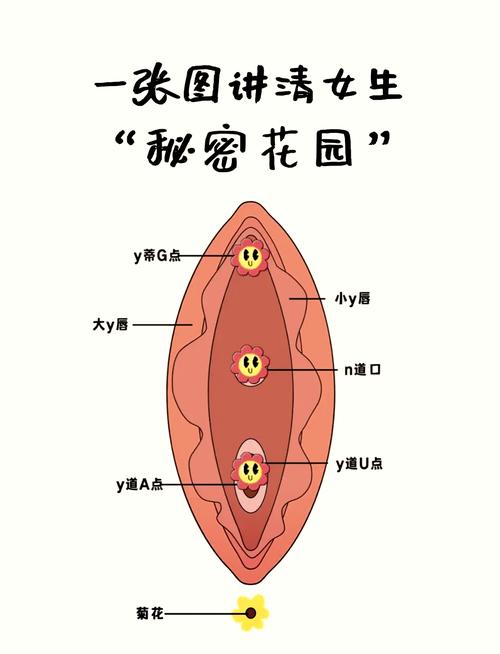 怎么女生隐私部图标