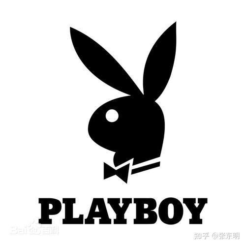 英语课代表的兔子好大好软好好截图