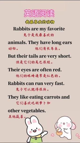 英语课代表的兔子好大好软好好