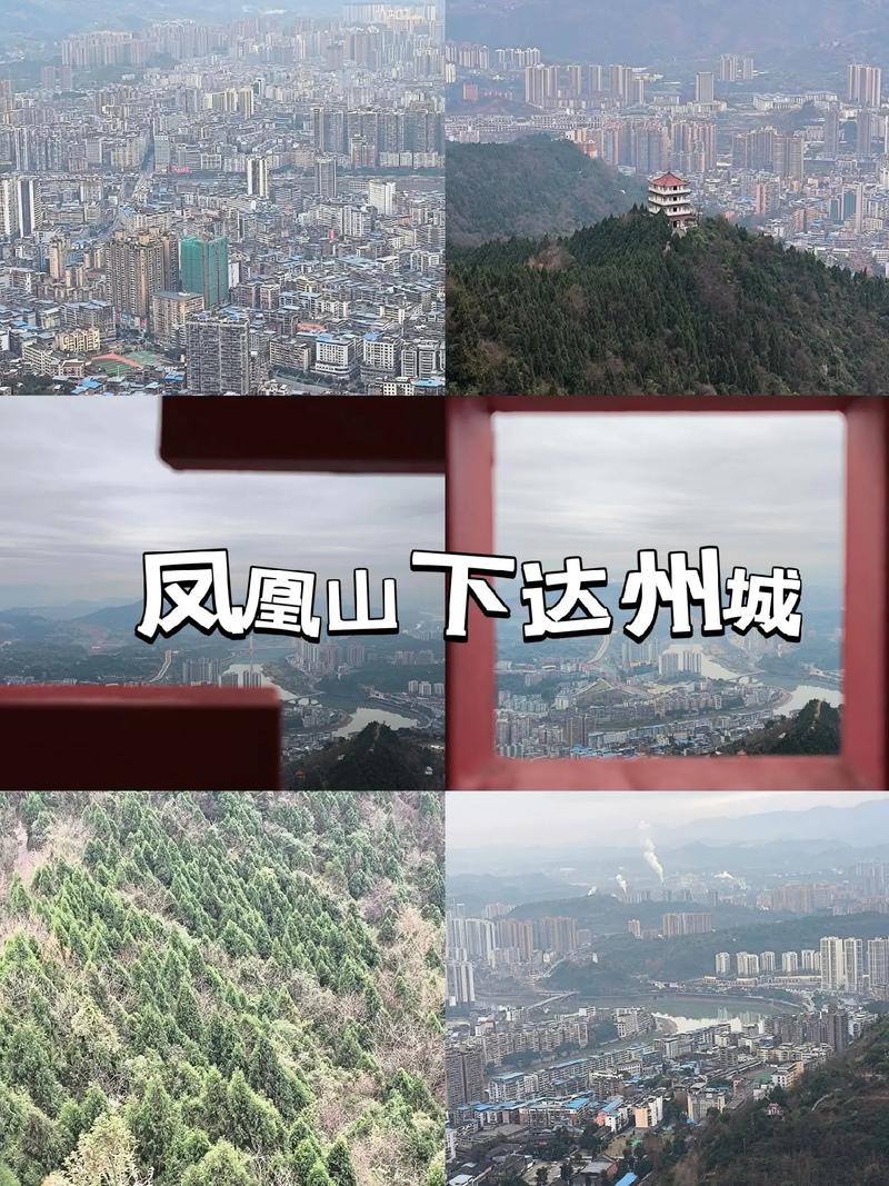 达州凤凰山下论坛网地址图标