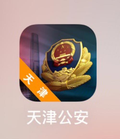 怎样天津公安app图标