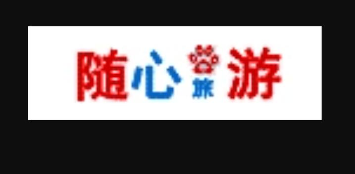 随心行6.0图标