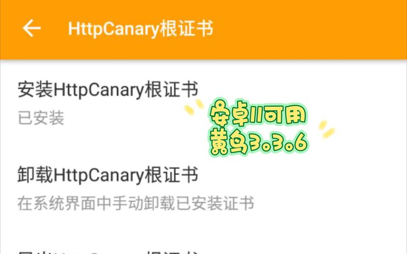 小黄鸟ca证书文件