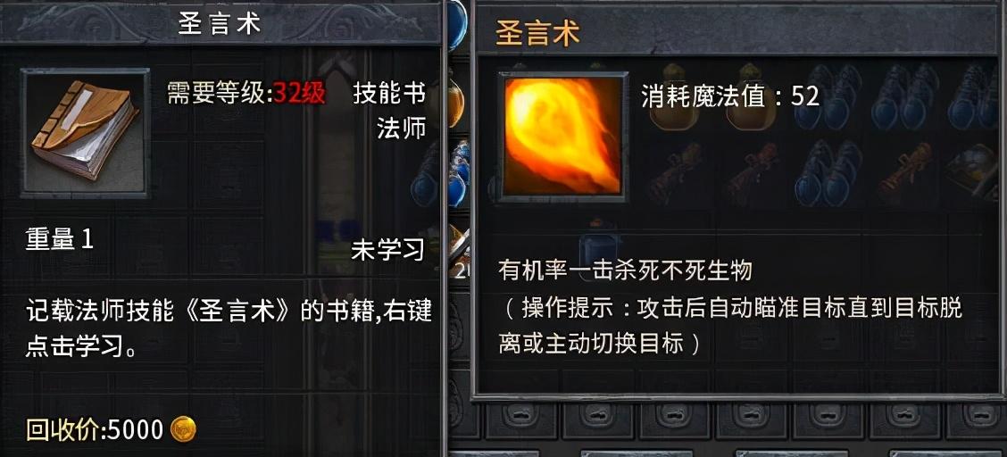 热血传奇圣言术可以圣什么怪