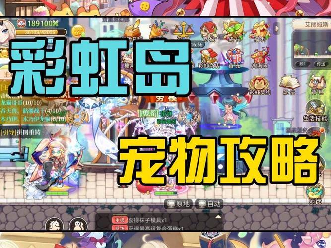 彩虹岛小熊辅助官网图标