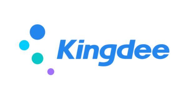 金碟kis专业版图标