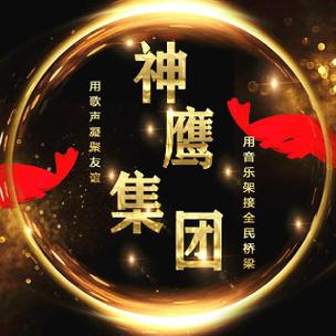 神鹰盒官方图标