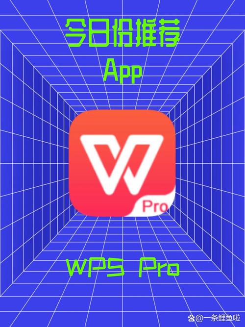 wpsapppro破解wifi图标