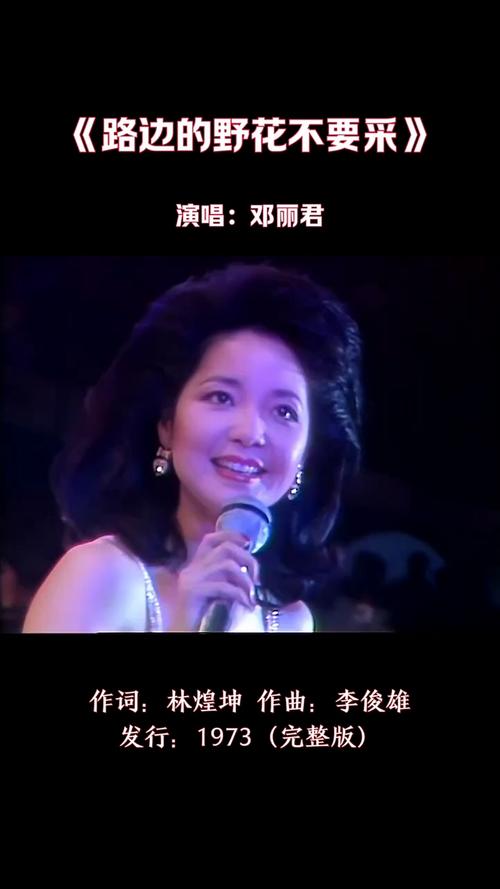经典老歌500首邓丽君