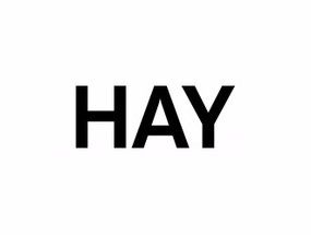 Hay海外版图标