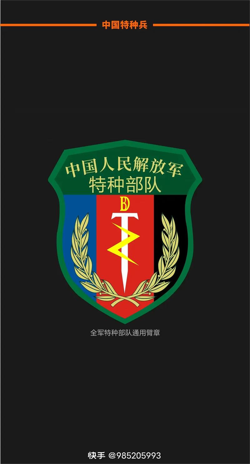 中国有多少个装甲部队图标