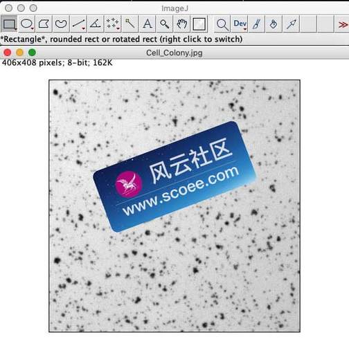 imagej图像处理插件图标