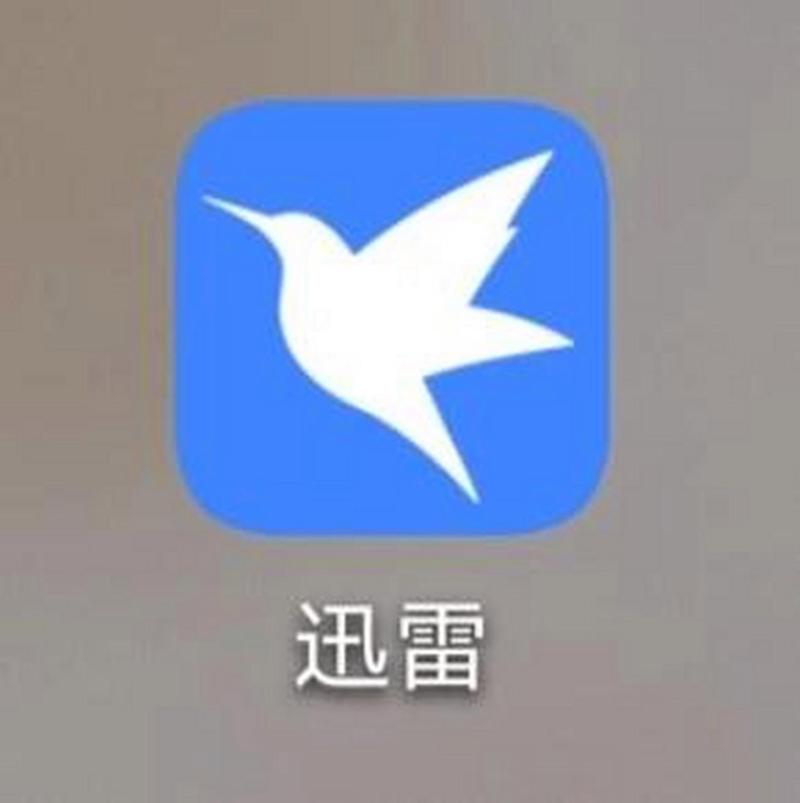 迅雷云盘app安装图标