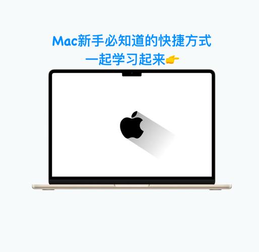 macbook平板电脑复制粘贴图标