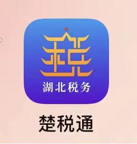 楚税通app官方版最新版本更新内容分享
