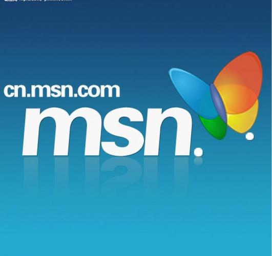 MSN表情文字大全