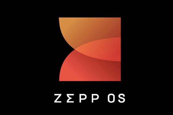 zepp2022年旧版本