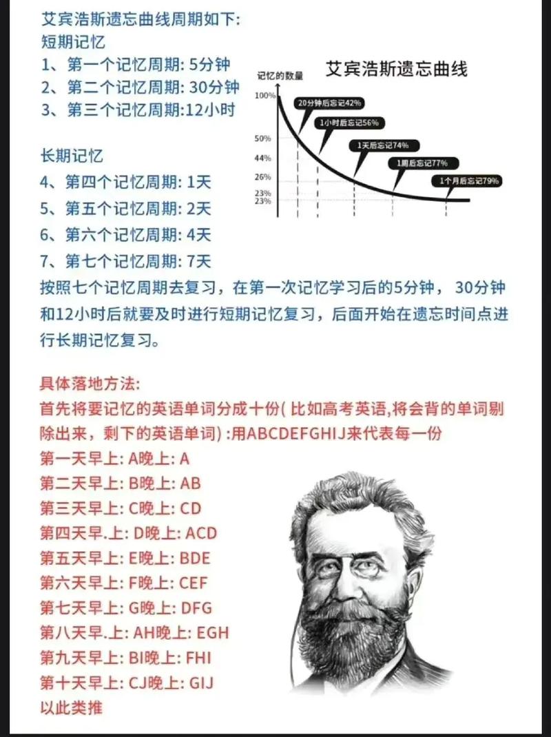 艾宾浩斯记忆法软件