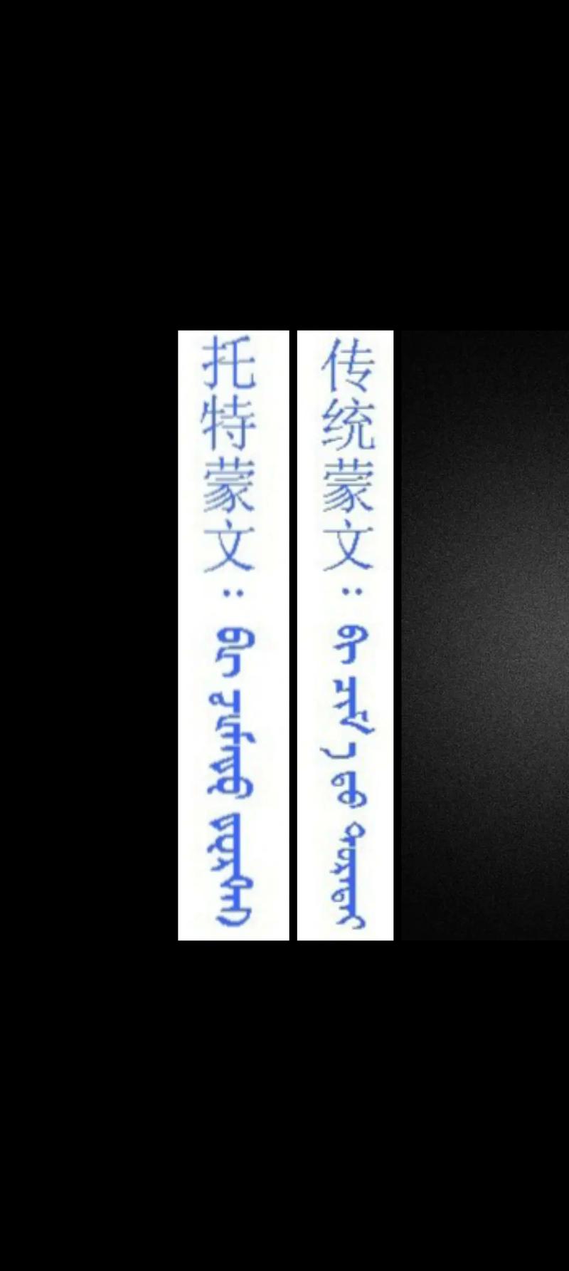 新蒙文字典2023最新版图标