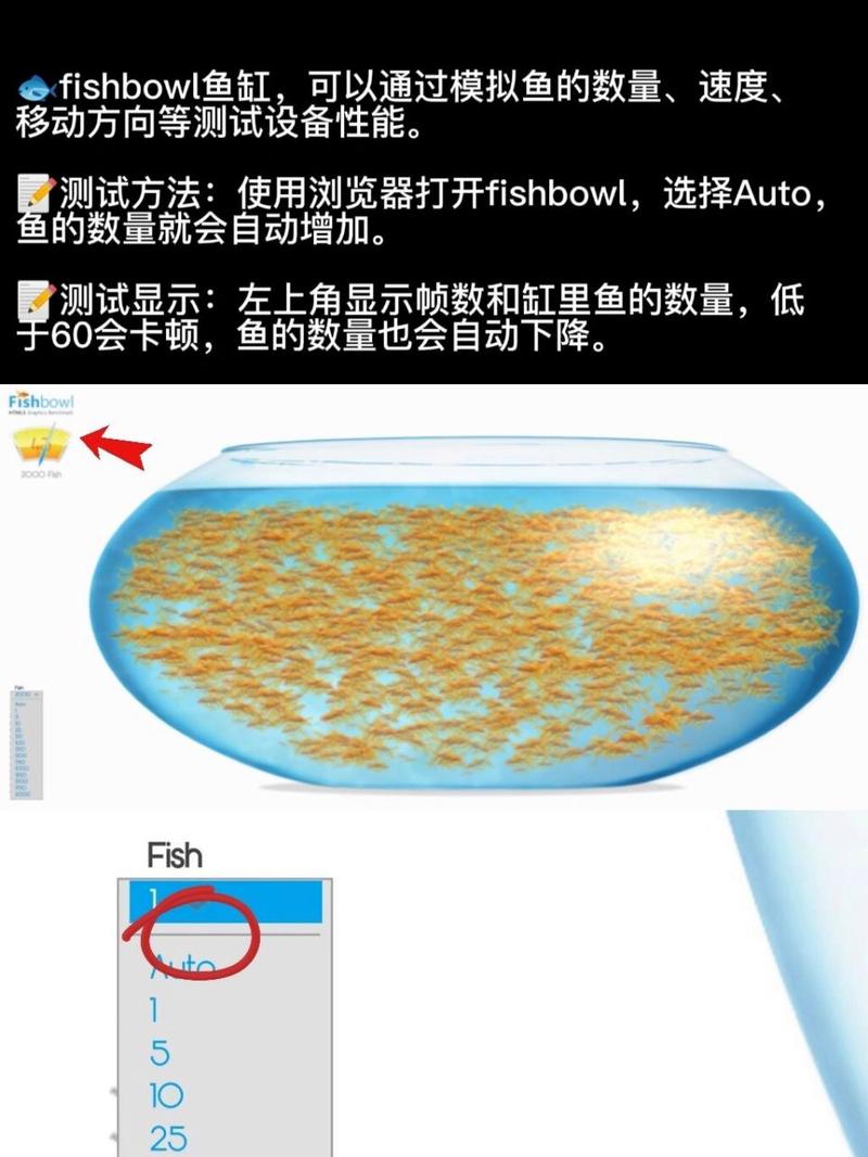fishbowl鱼缸测试怎么