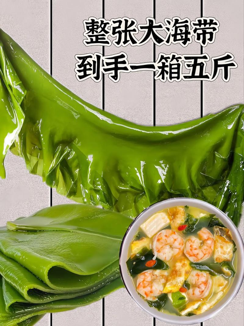 海带官网