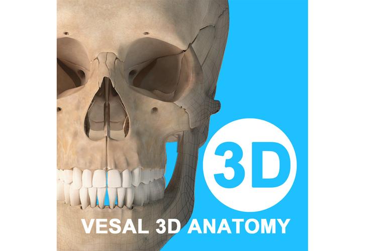 维萨里3D免费版截图