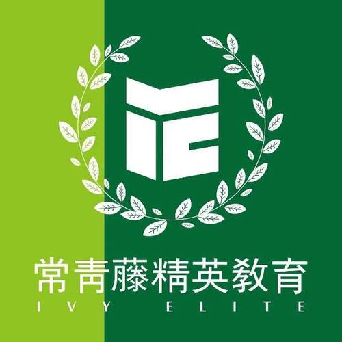 常青藤插件功能介绍截图