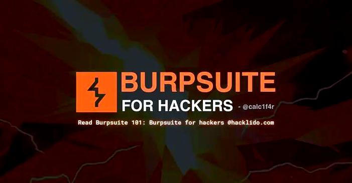 BurpSuitePro官方安装截图