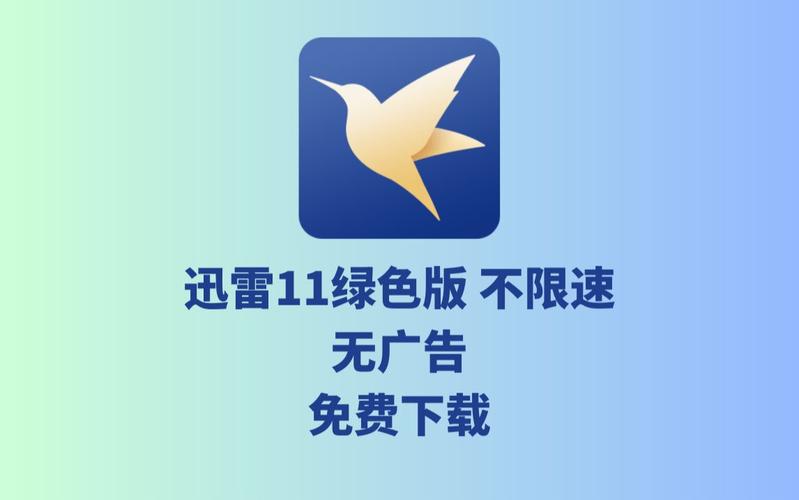 迅雷11绿色版(免登录)截图