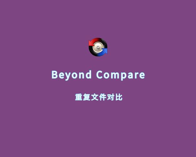Beyond Compare文件对比截图