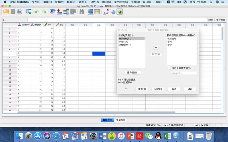 IBM SPSS Statistics
