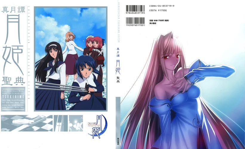 真月谭月姬格斗2009截图