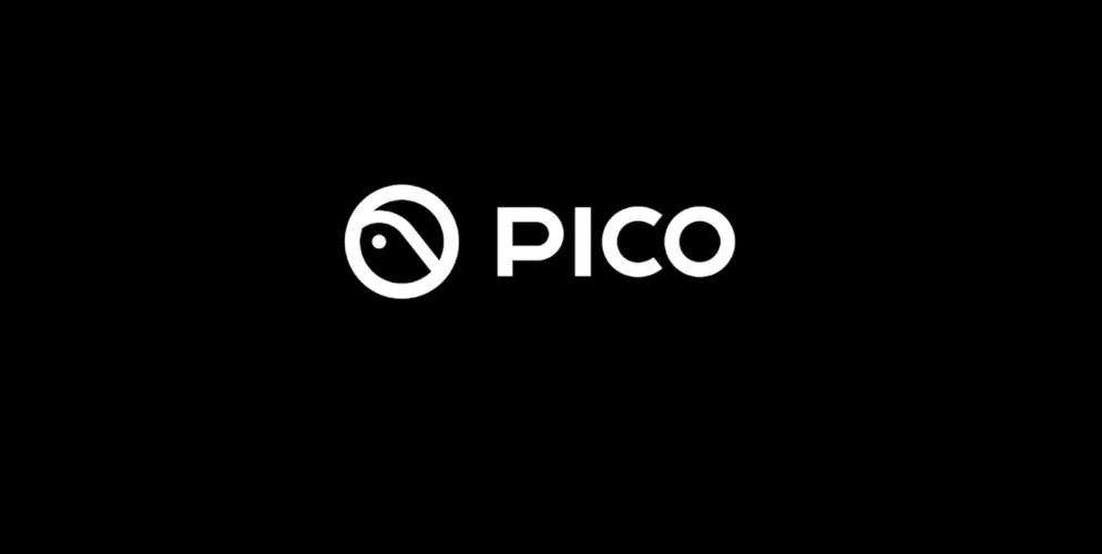 picooc安装截图