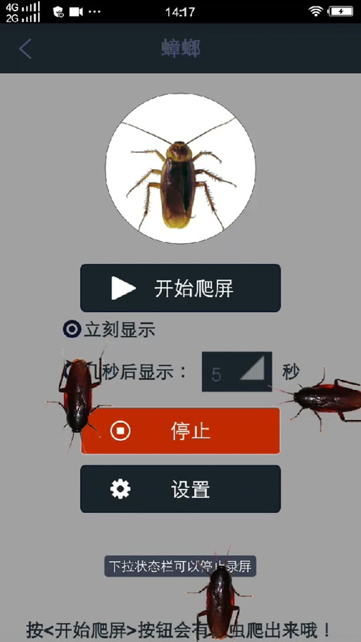 屏幕虫子爬动逗猫图标