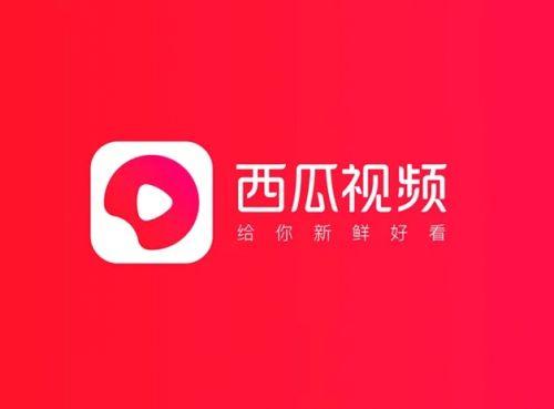 西瓜视频v1.3.1.8.1.3.8.1截图