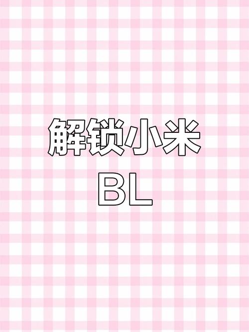 UnlockTool解锁小米bl截图