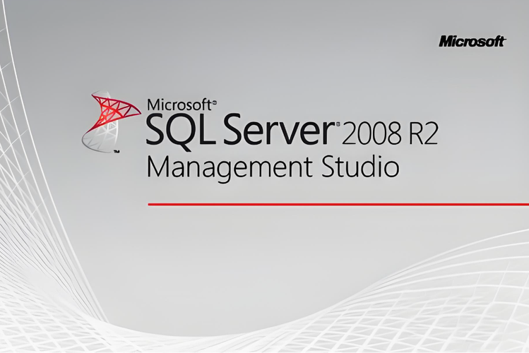 SQL2008R2标准版图标