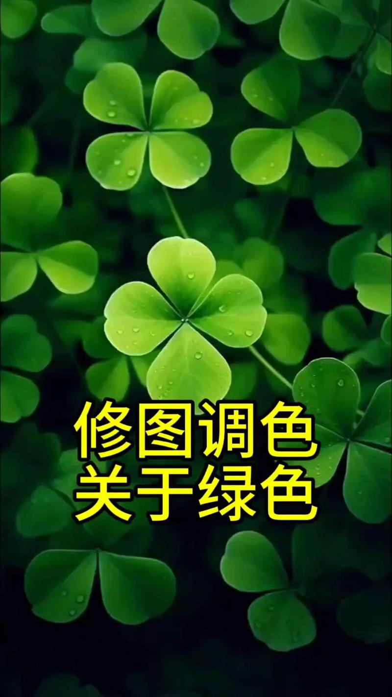 photoshop绿色汉化版2024最新版图标
