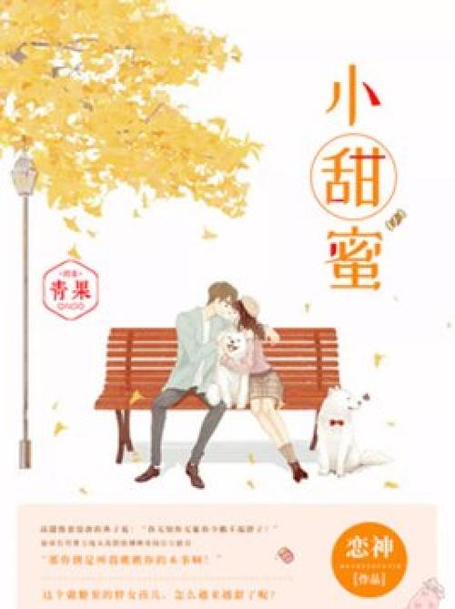 小甜蜜4正版