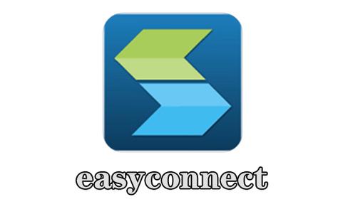 easywebserver截图