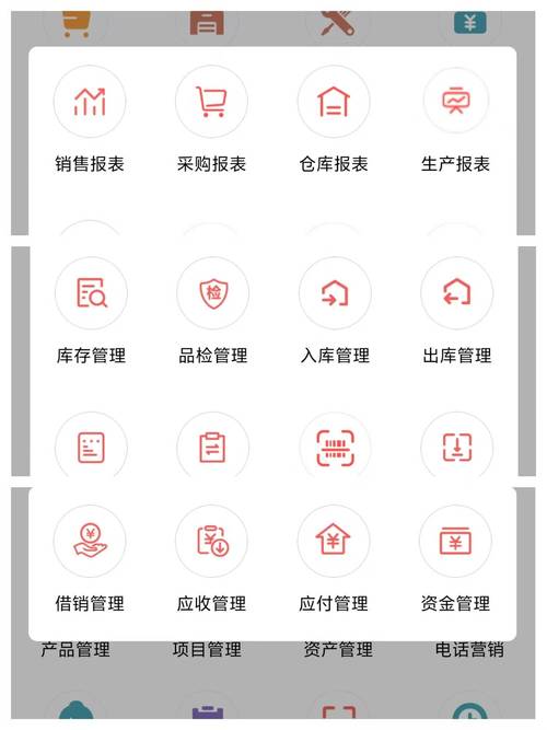 经销商进销存软件排名图标