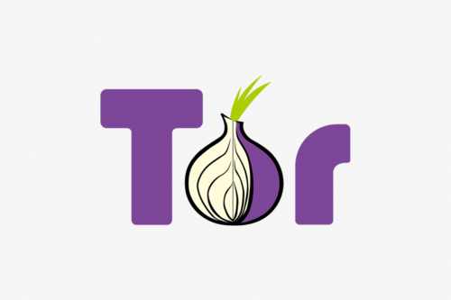 tor洋葱官网网址图标
