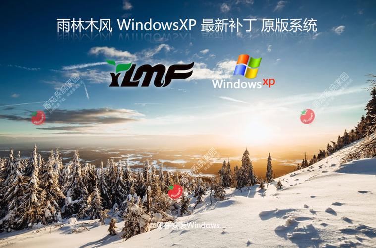 win10雨林木风截图