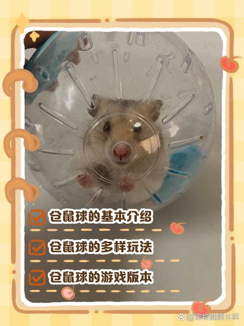 仓鼠球手机版图标
