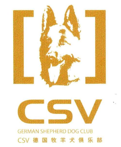 德国牧羊犬俱乐部最新版本更新内容有哪些