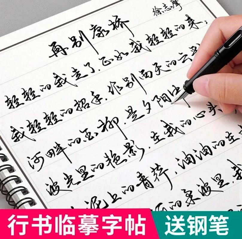 钢笔行楷字帖练字样本图标