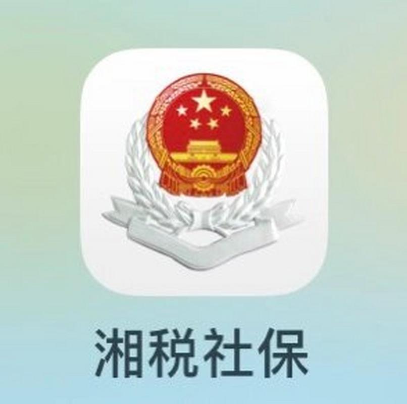 湘税医保缴费2025图标