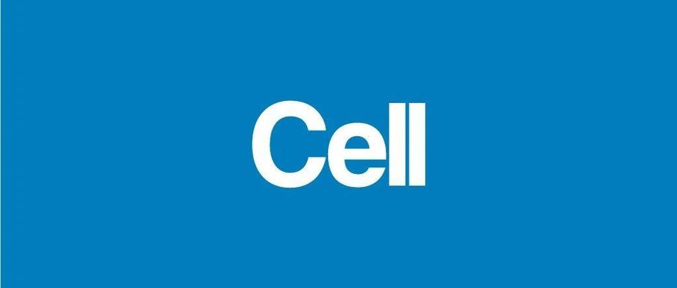 Cellularpro正版截图